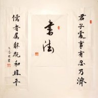 Installing Pleco on Windows 11 with Magisk on WSA (Google Apps) | Pleco ...